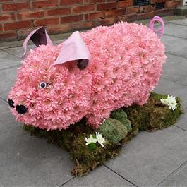 Pig - Funeral Flowers Southminster